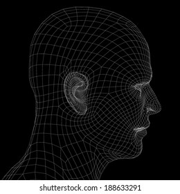 Human Head Wire Frame Render On Stock Illustration 188633291 | Shutterstock