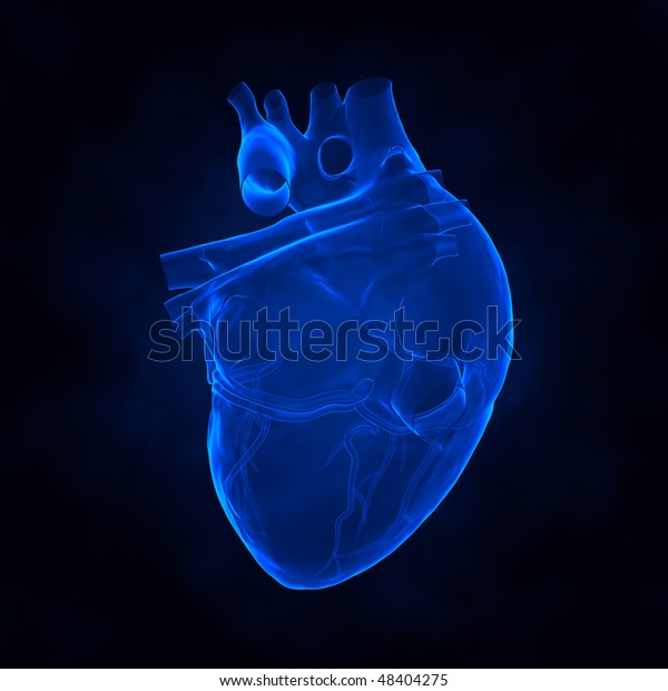 Human Heart Xray View Stock Illustration 48404275