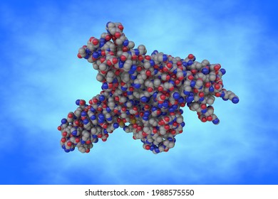 Human Interleukin5 Il5 Complex Receptor Scientific Stock Illustration ...