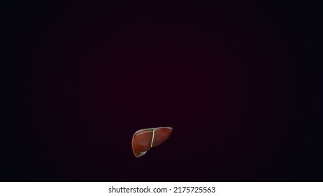 2,154 Human liver function Images, Stock Photos & Vectors | Shutterstock