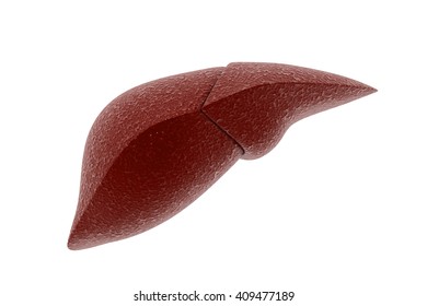 Human Liver3d Render 스톡 일러스트 409477189 | Shutterstock