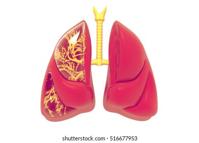 Healthy Lungs On Left Side Lungs Stock Vector (Royalty Free) 1918750865