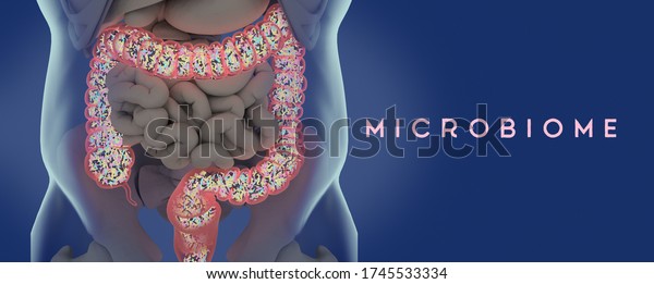 Human microbiome large intestine filled with bacteria. Title ...