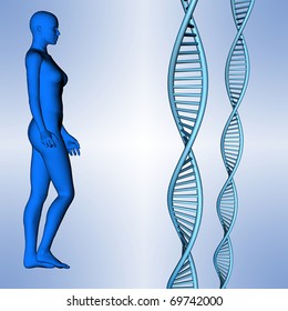 Human Morphology Dna Structure Stock Illustration 69742000 | Shutterstock