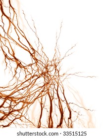 9,892 Neuron white background Images, Stock Photos & Vectors | Shutterstock