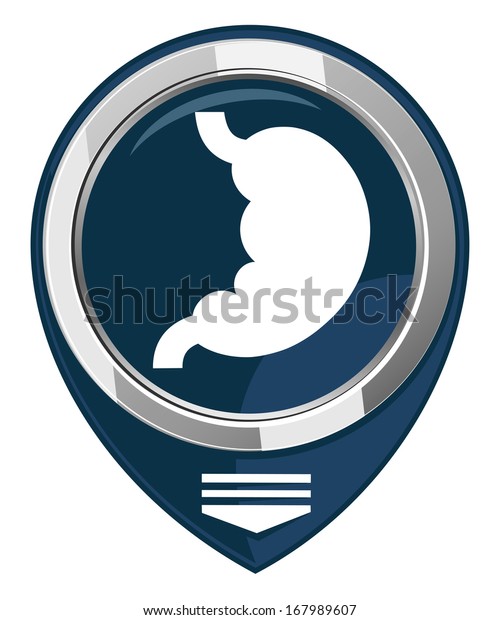 Human Organ Stomach Map Pointer Stock Illustration 167989607 | Shutterstock