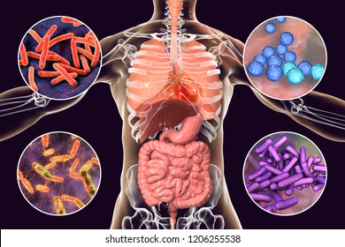 156 Pathogens enter body Images, Stock Photos & Vectors | Shutterstock