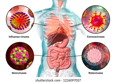 156 Pathogens enter body Images, Stock Photos & Vectors | Shutterstock