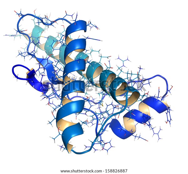 Human Prion Protein Hprp Chemical Structure Stock Illustration 158826887 Human Prion Protein Hprp Chemical Structure Stock Illustration 158826887