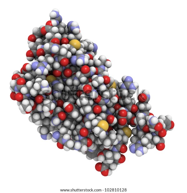 Human Prion Protein Molecule Hprp Chemical Stock Illustration 102810128 Human Prion Protein Molecule Hprp Chemical Stock Illustration 102810128