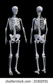 Ilustrasi Stok Human Skeleton Transparent Body 3d Render 1434815570 ...