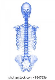 Human Heart Skeleton Visualization Mri Test: ภาพประกอบสต็อก 1636190173 ...