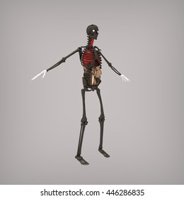 Human Skeleton 3d Rendering Stock Illustration 446286835 | Shutterstock