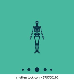Vektor Stok Human Skeleton Icon (Tanpa Royalti) 552166642 | Shutterstock