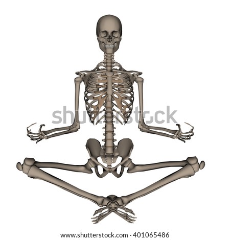 Human Skeleton Meditation 3 D Render Stock Illustration 401065486 ...