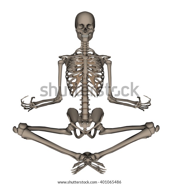 Human Skeleton Meditation 3d Render Stock Illustration 401065486 ...