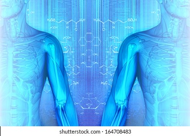 Human Skeleton On High Tech Background 스톡 일러스트 164708483 | Shutterstock