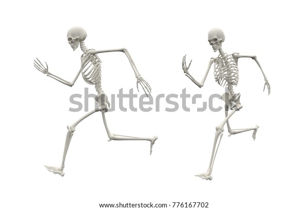 Human Skeleton Run Actioin 3d Rendering Stock Illustration 776167702