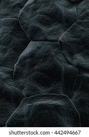 119 Dead skin cells magnified Images, Stock Photos & Vectors | Shutterstock