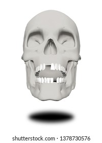 Realistic 3d Render Homo Erectus Skull: ภาพประกอบสต็อก 166850684 ...