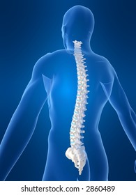 Male Spine Anatomy Lateral View 스톡 일러스트 132045095 | Shutterstock