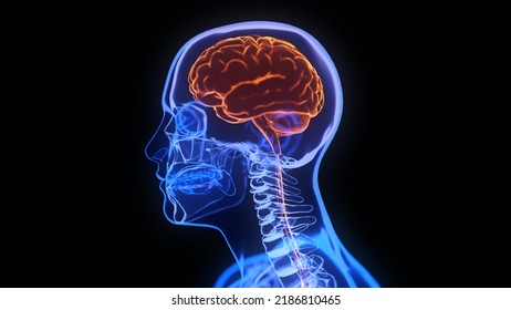Human Thinking Abstract Background 3d Rendering Stock Illustration ...