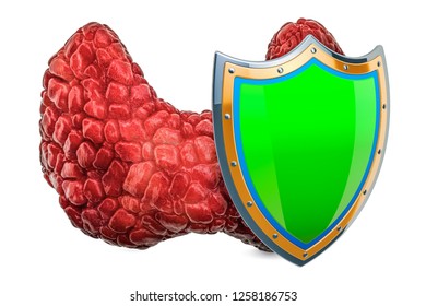 88 Thyroid shield Images, Stock Photos & Vectors | Shutterstock