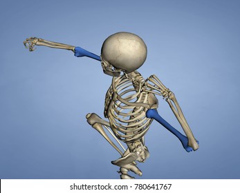 Humerus Human Skeleton 3d Model Stock Illustration 780641767 | Shutterstock