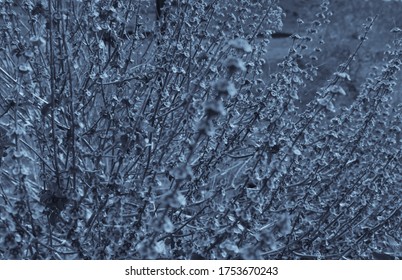 530 Icey background Images, Stock Photos & Vectors | Shutterstock