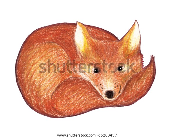 Illustrated Fox Stock Illustration 65283439 | Shutterstock