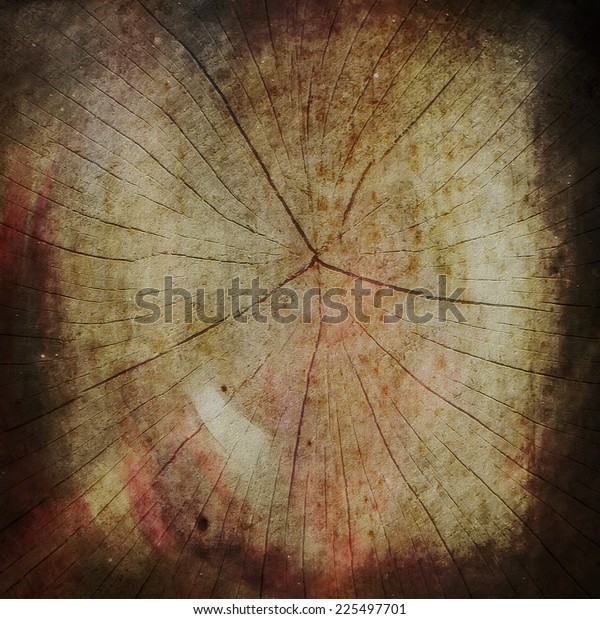 Illustration Cross Section Tree Trunk Stock Illustration 225497701 ...
