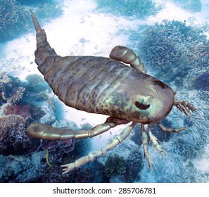 6,379 Sea scorpion Images, Stock Photos & Vectors | Shutterstock
