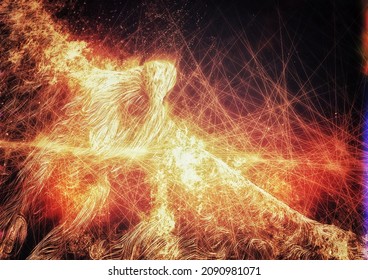 845 Exploding bird Images, Stock Photos & Vectors | Shutterstock