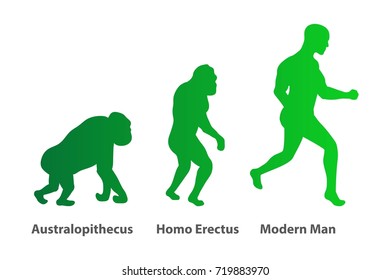 Illustration Human Evolution Process 3 Stages Stock Illustration ...