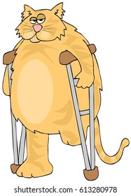 596 Three Legged Cat Images, Stock Photos & Vectors | Shutterstock