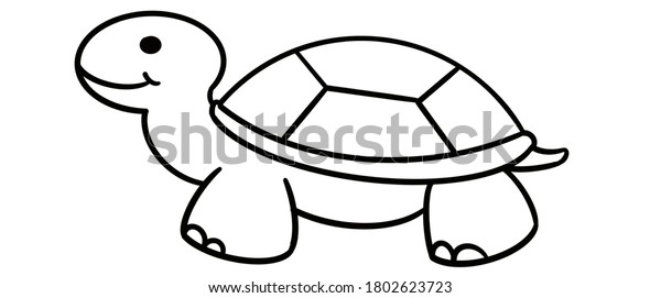 Illustration Turtledraw Turtle White Backgroundbasic Draw Stock ...