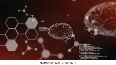5,913 Brain no background Images, Stock Photos & Vectors | Shutterstock