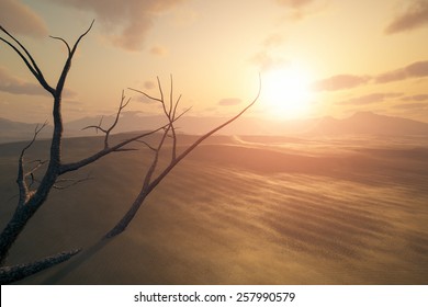364,411 Death nature Images, Stock Photos & Vectors | Shutterstock