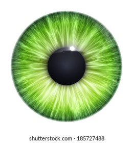 36,158 Iris texture Images, Stock Photos & Vectors | Shutterstock