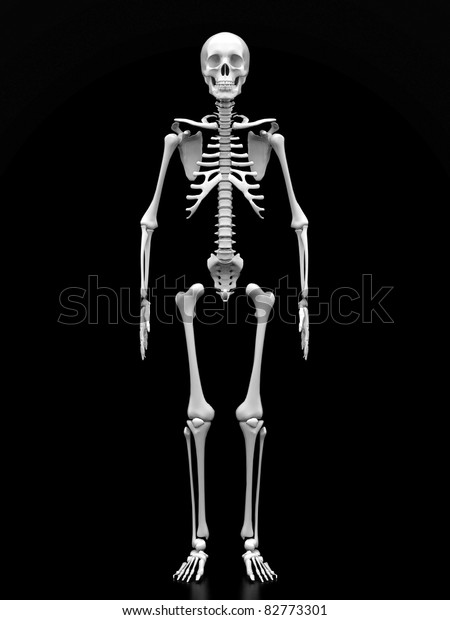 Image White Human Skeleton On Black Stock Illustration 82773301 ...
