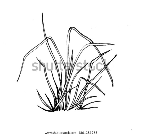Indian Ink Drawing Patch Grassblack On Stock Illustration 1861381966