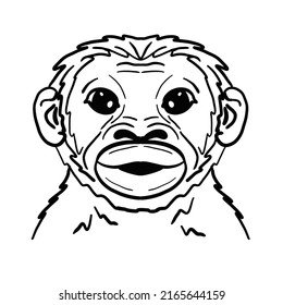 Ink Drawing Funny Monkey Face Stock Illustration 2165644159 | Shutterstock