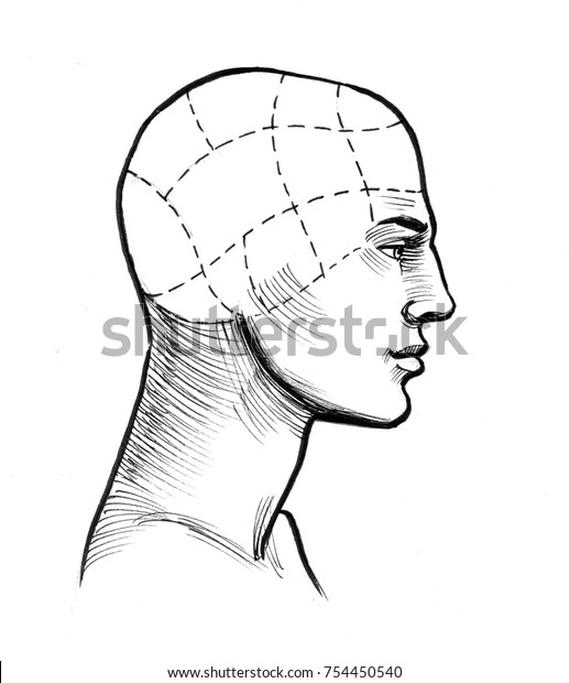 Ink Drawing Head Chart Stock Illustration 754450540 | Shutterstock