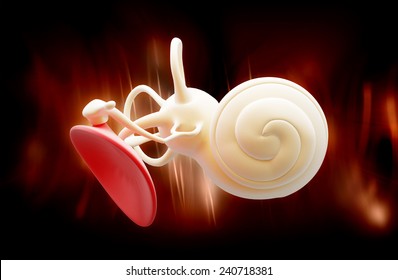 105 Tectorial membrane Images, Stock Photos & Vectors | Shutterstock