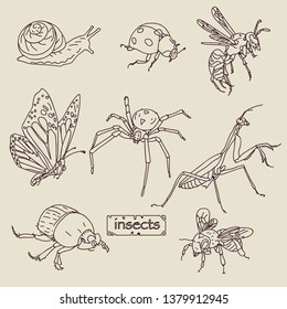 Insects Drawing Set Stock Illustration 1379912945 | Shutterstock
