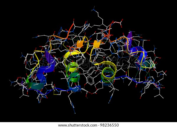 Insulin 3D molecular model