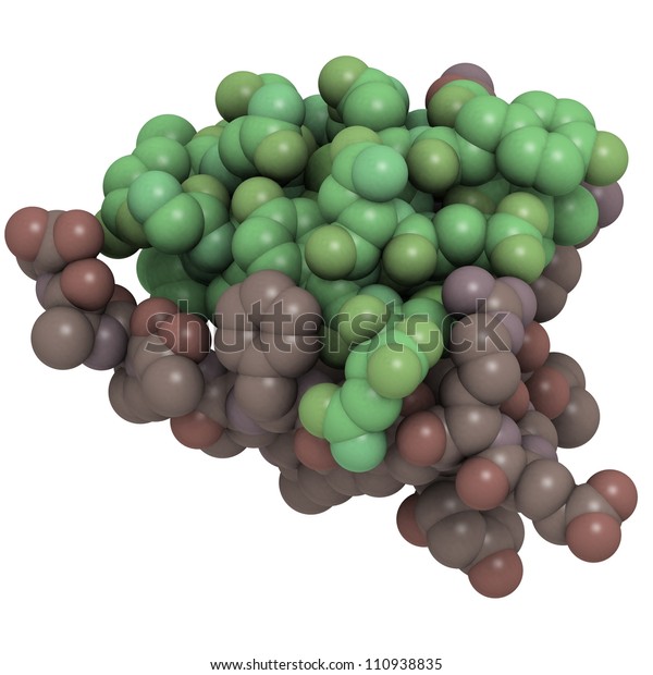 Insulin Molecule Human Chemical Structure Insulin 스톡 일러스트 110938835