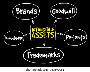 Intangible Assets Types Strategy Mind Map Stock Vector (Royalty Free ...