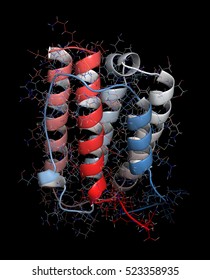 Interferon Alpha 2a Ifna2 Molecule 3d 스톡 일러스트 523358935 | Shutterstock