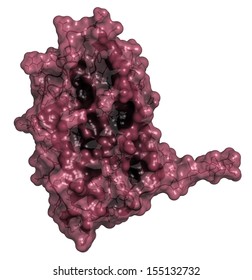 Interferon Beta Molecule Chemical Structure Cytokine Stock Illustration ...